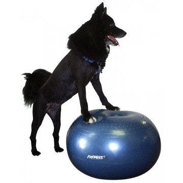 Ballon donut FitPAWS