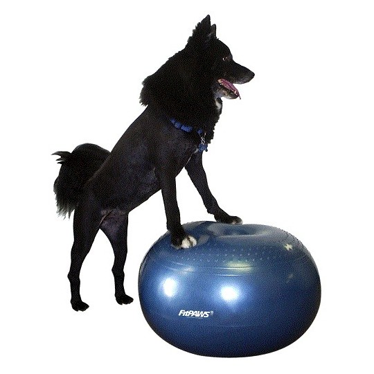 Ballon donut FitPAWS