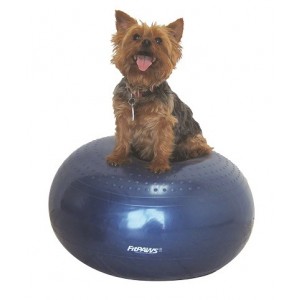 Ballon donut FitPAWS