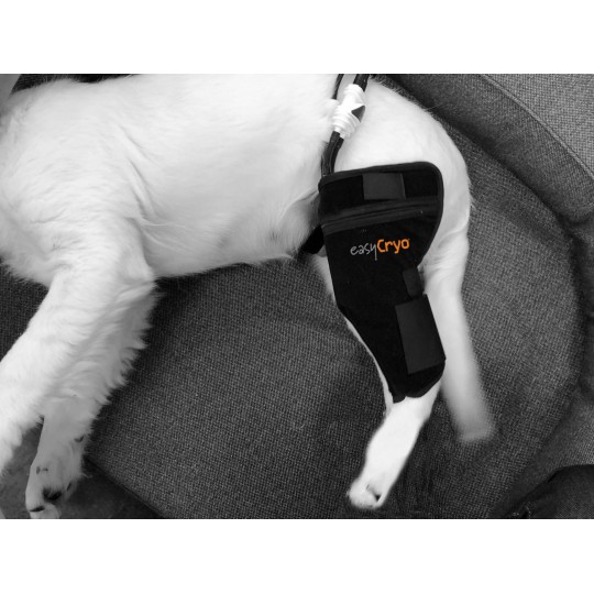Cryothérapie compressive dynamique EASY CRYO