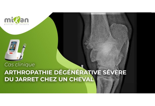 Thérapie laser : un outil efficace pour la prise en charge d'une ...