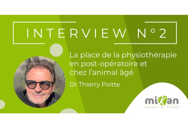 Physiothérapie post-opératoire et chez l’animal âgé, interview du Dr ...